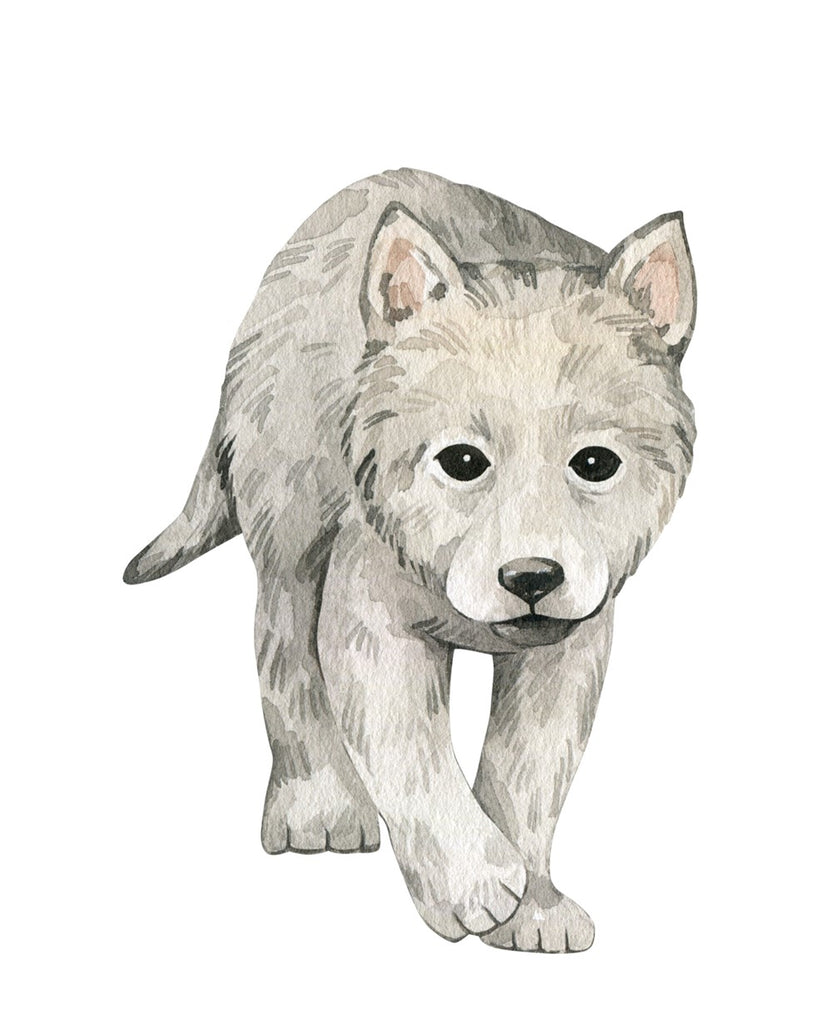 Baby Wolf Face Sketch