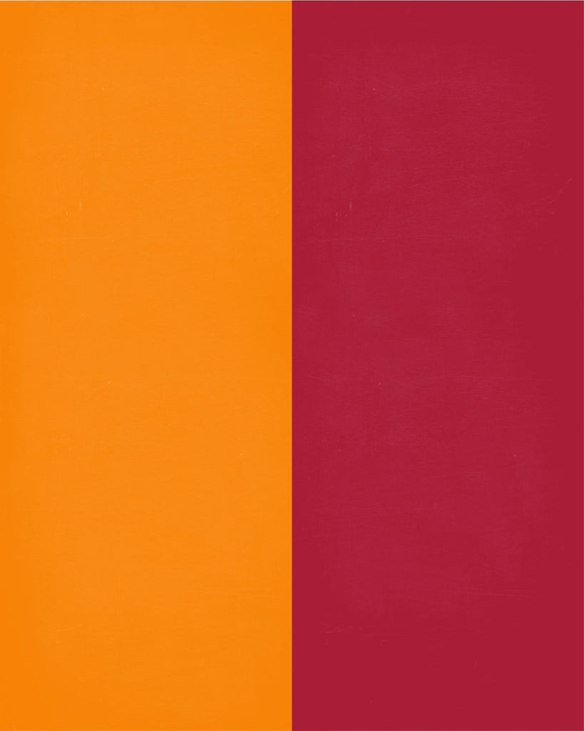 A House Divided Tennessee Volunteers and Alabama Crimson Tide Personal ...